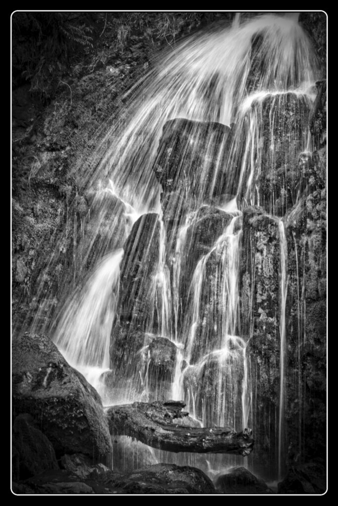 Whangarei Camera Club
