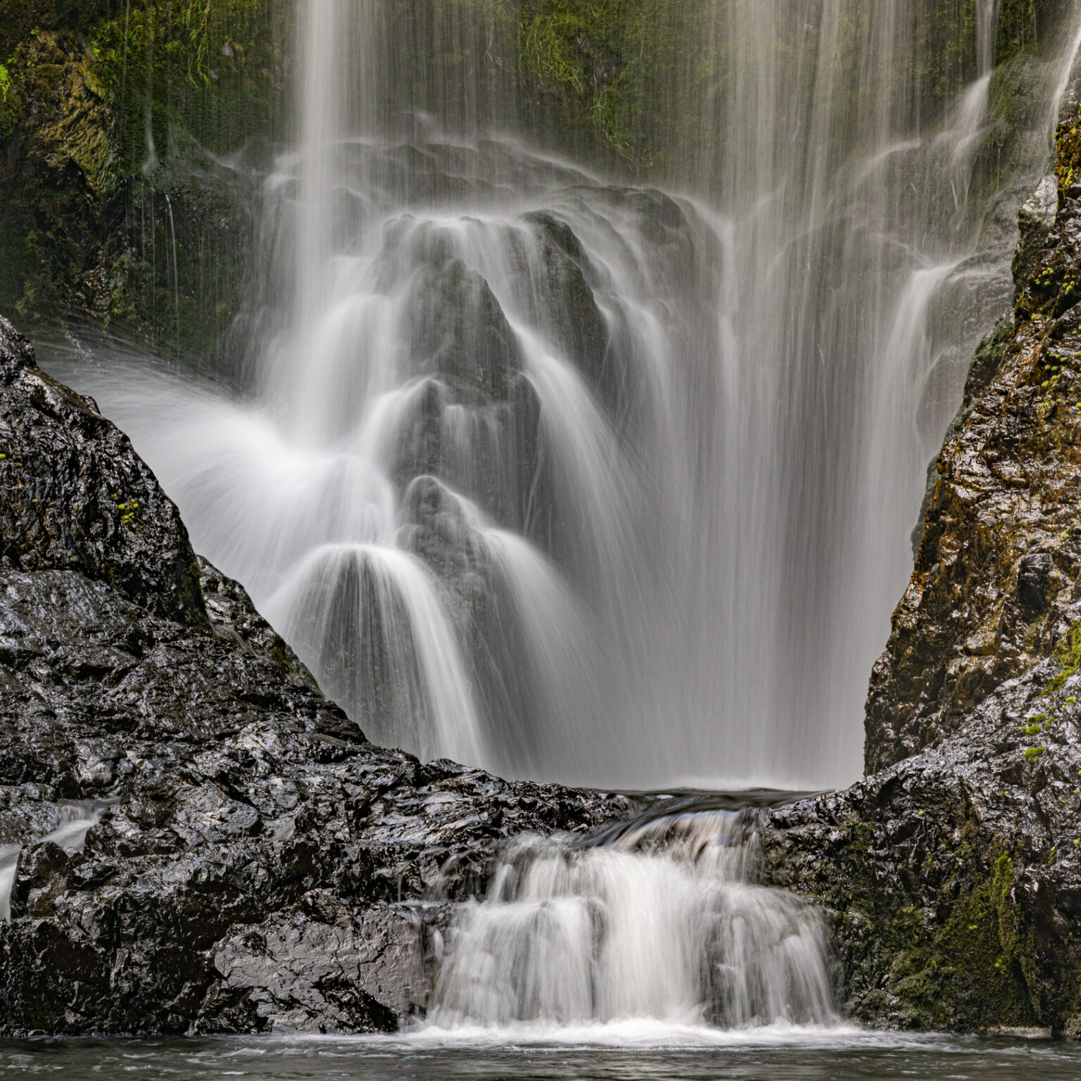 Whangarei Camera Club