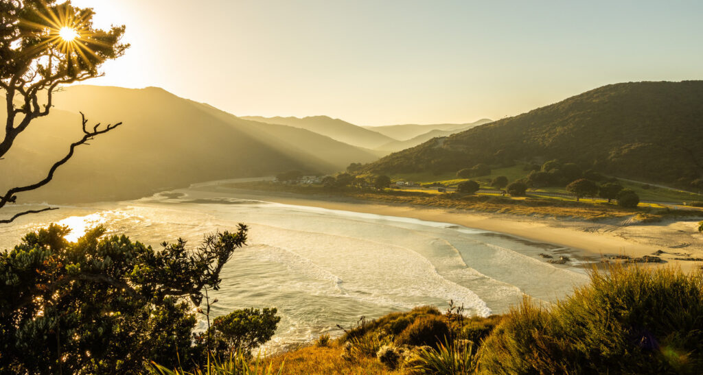 Whangarei Camera Club