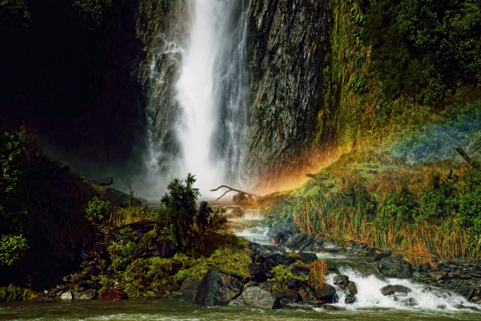 Whangarei Camera Club