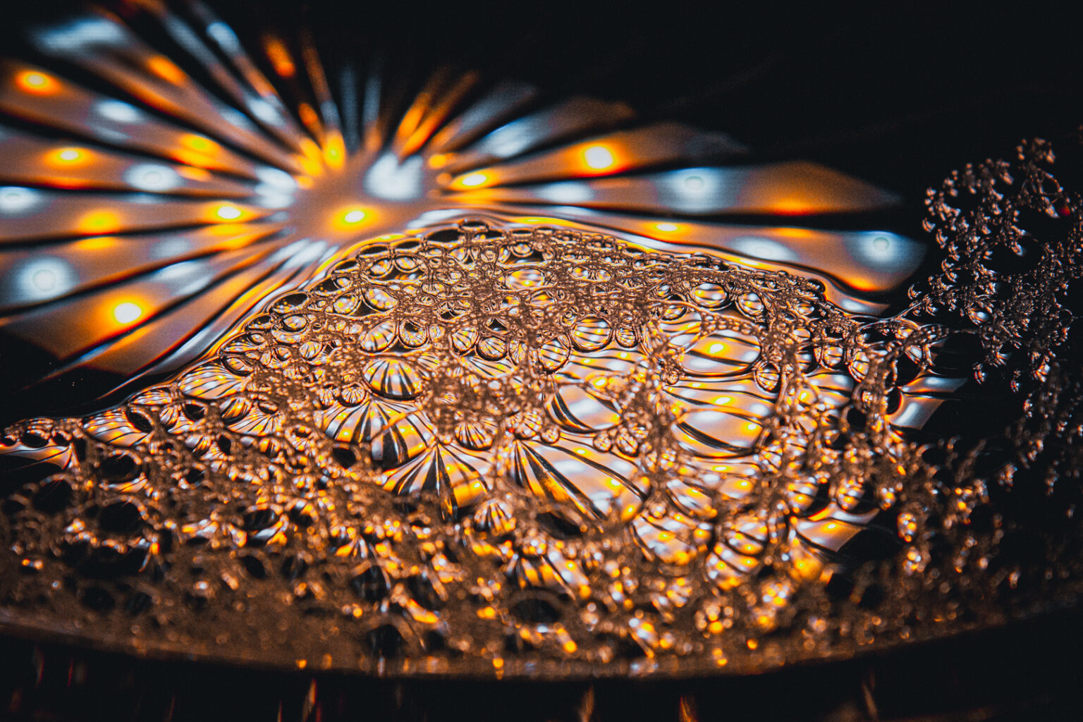 Whangarei Camera Club