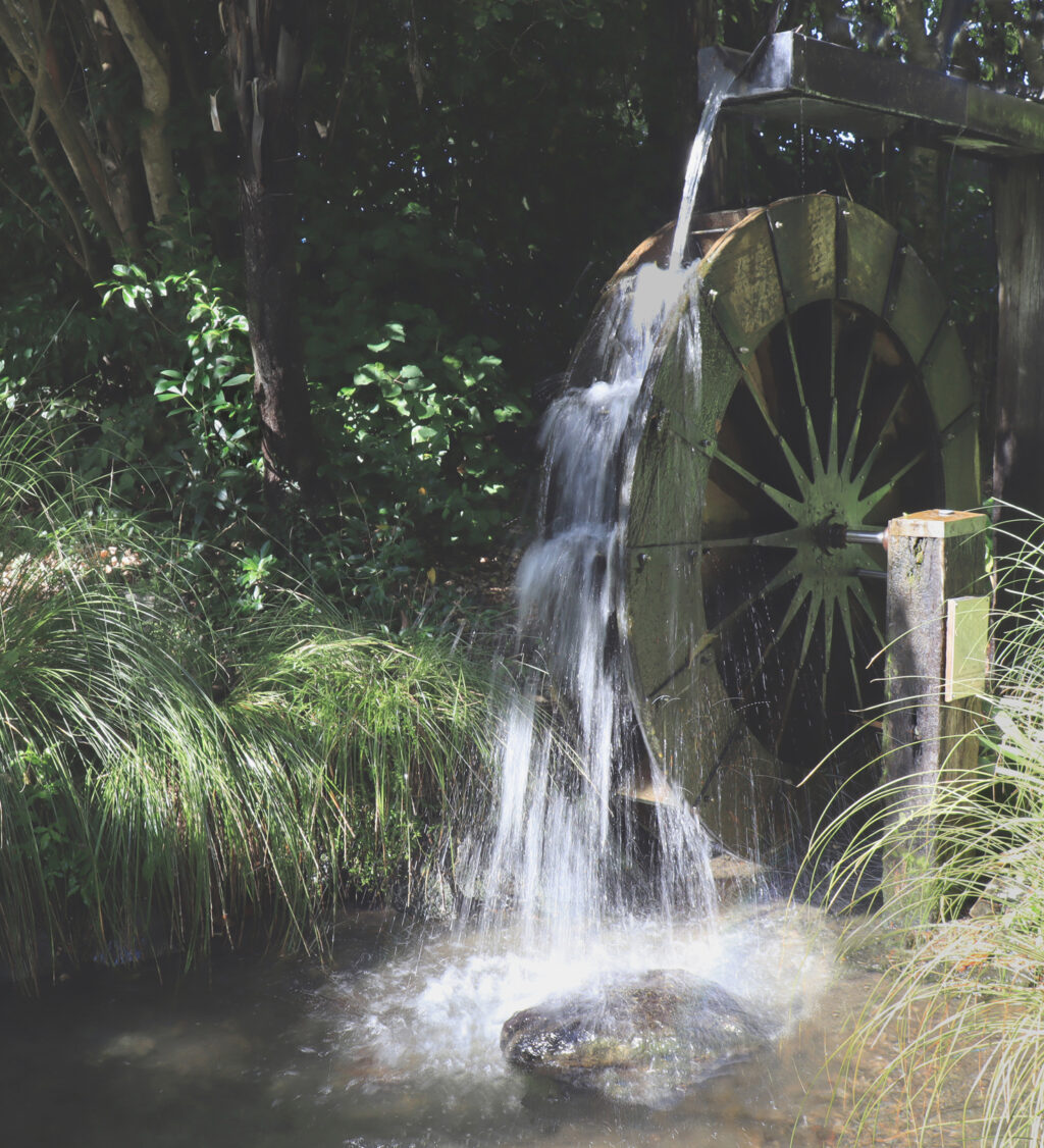 Whangarei Camera Club