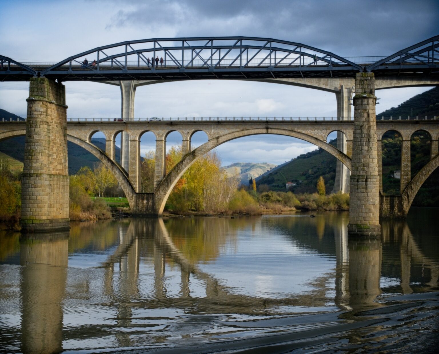 Whangarei Camera Club