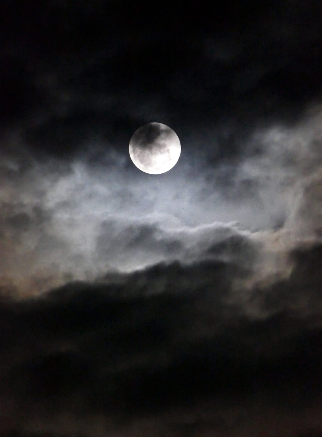 Whangarei Camera Club