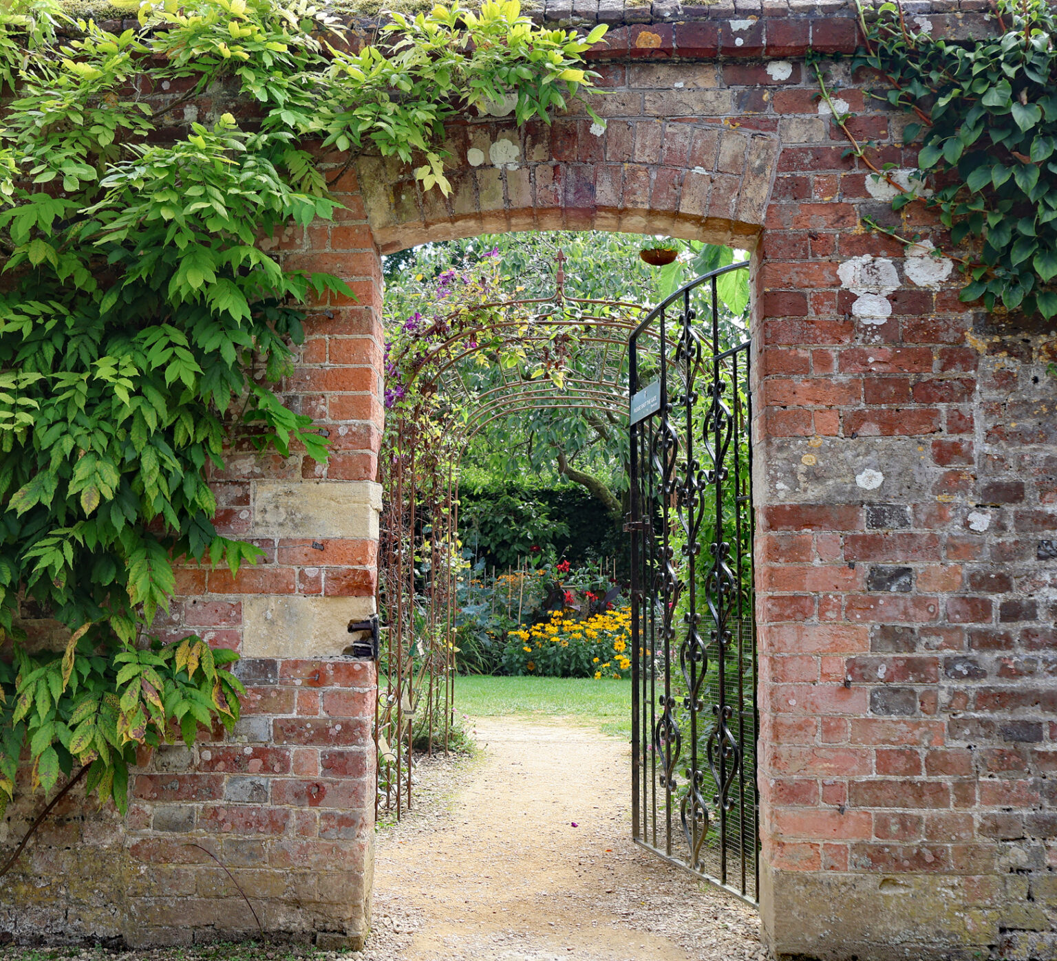 Whangarei Camera Club