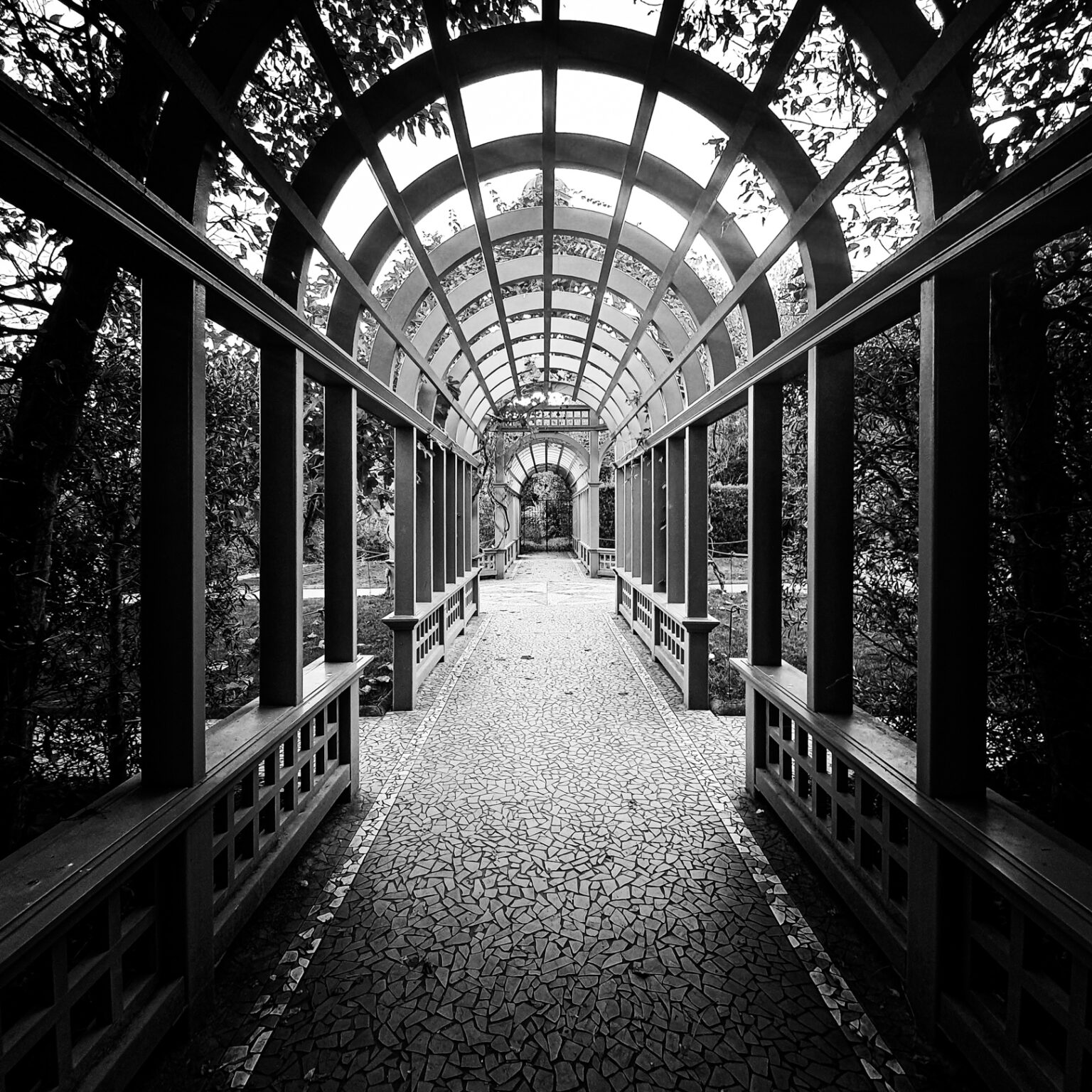 Whangarei Camera Club