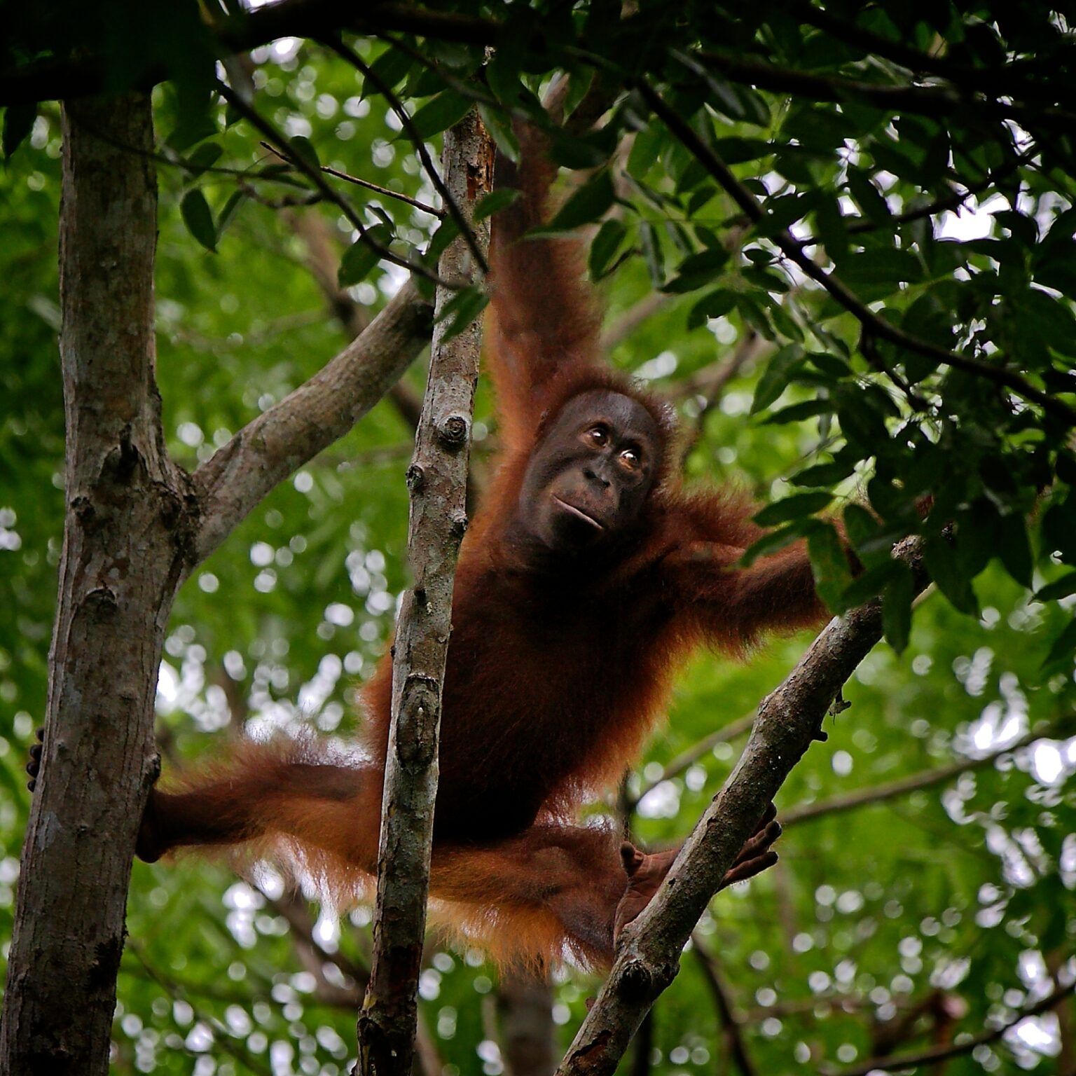 Whangarei Camera Club