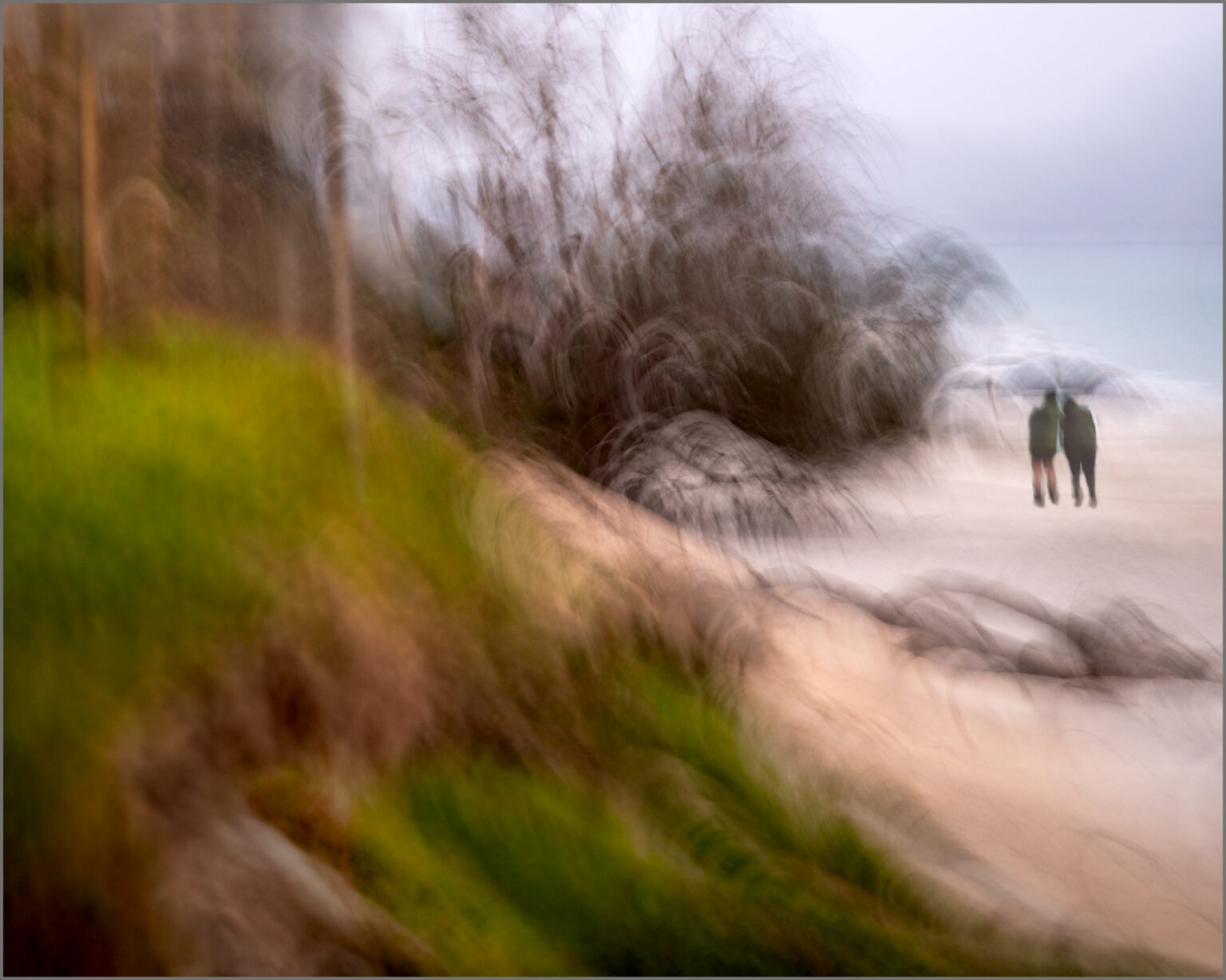 Whangarei Camera Club